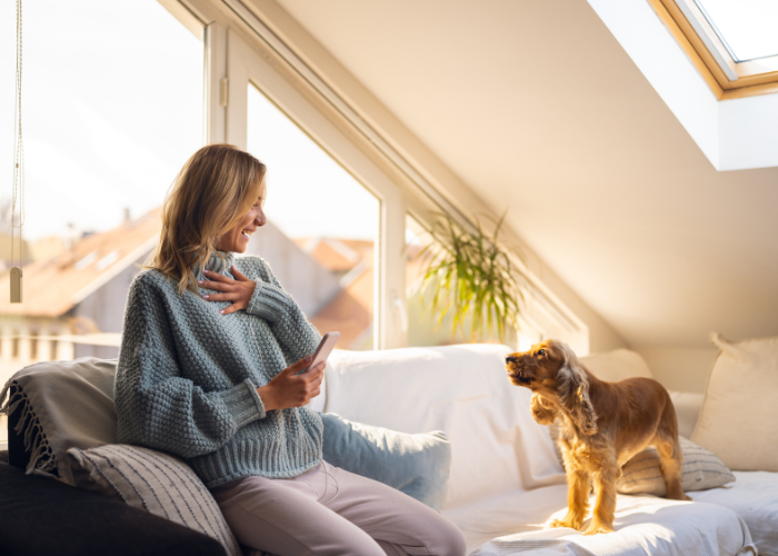 Hoe leert u uw hond om zijn stem te geven? | zoofera.nl